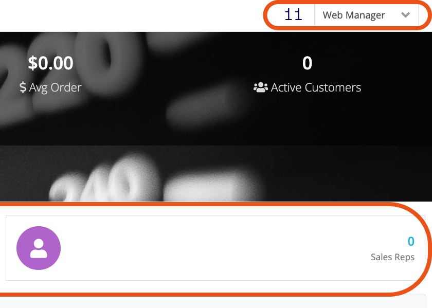 🌐 WebManager Dashboard Overview – RepZio - iPad / iPhone Sales App